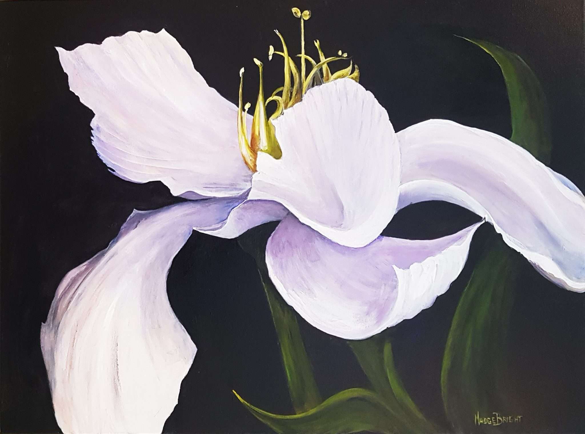 Gallery – Madge Bright – Artist